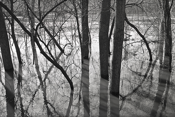 Icebox Quality Framing and Gallery